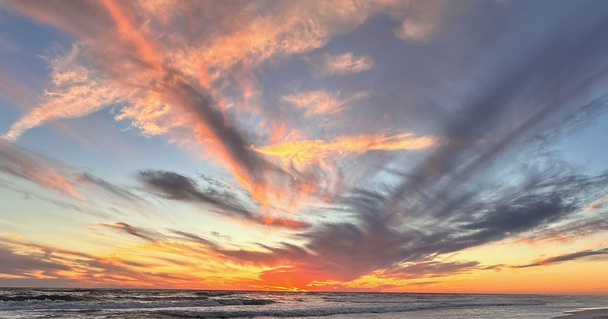 Sweet Emily Rea – INSPIRASUNS