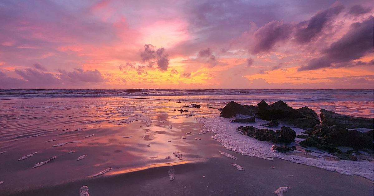 Emily Rea One Year Later – INSPIRASUNS