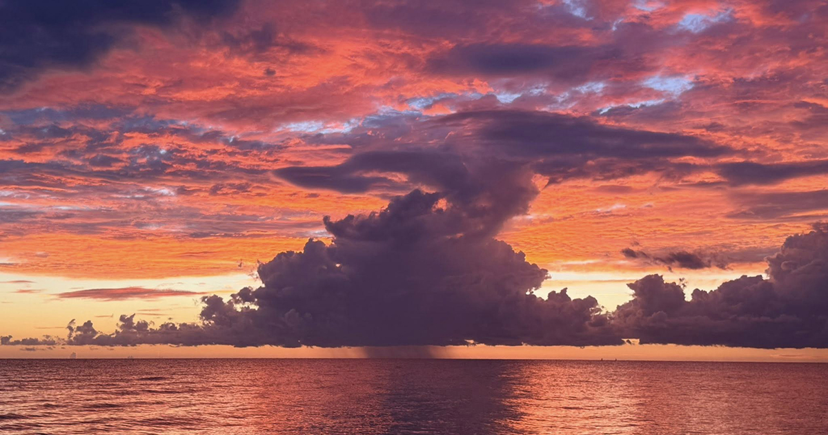 Let Him Have This Day – INSPIRASUNS